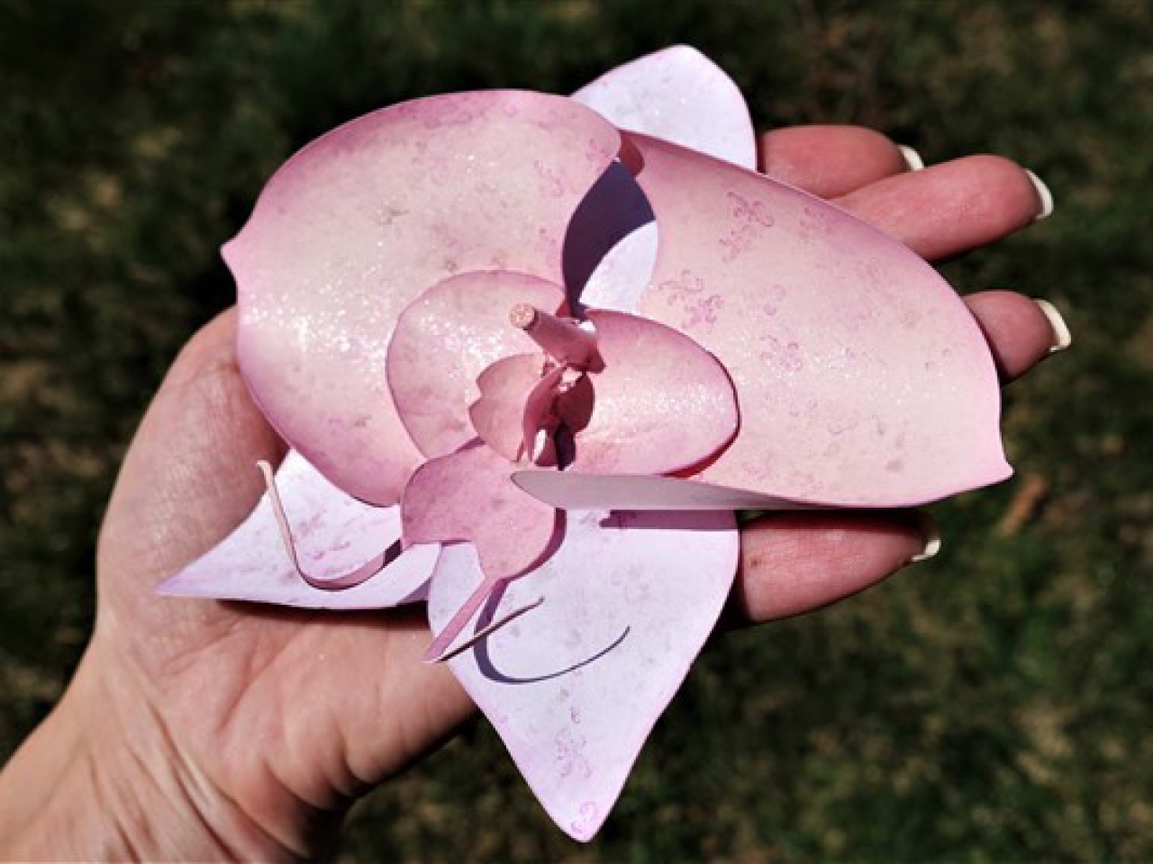 3D Orchid Flower Template - Darina's Crafts